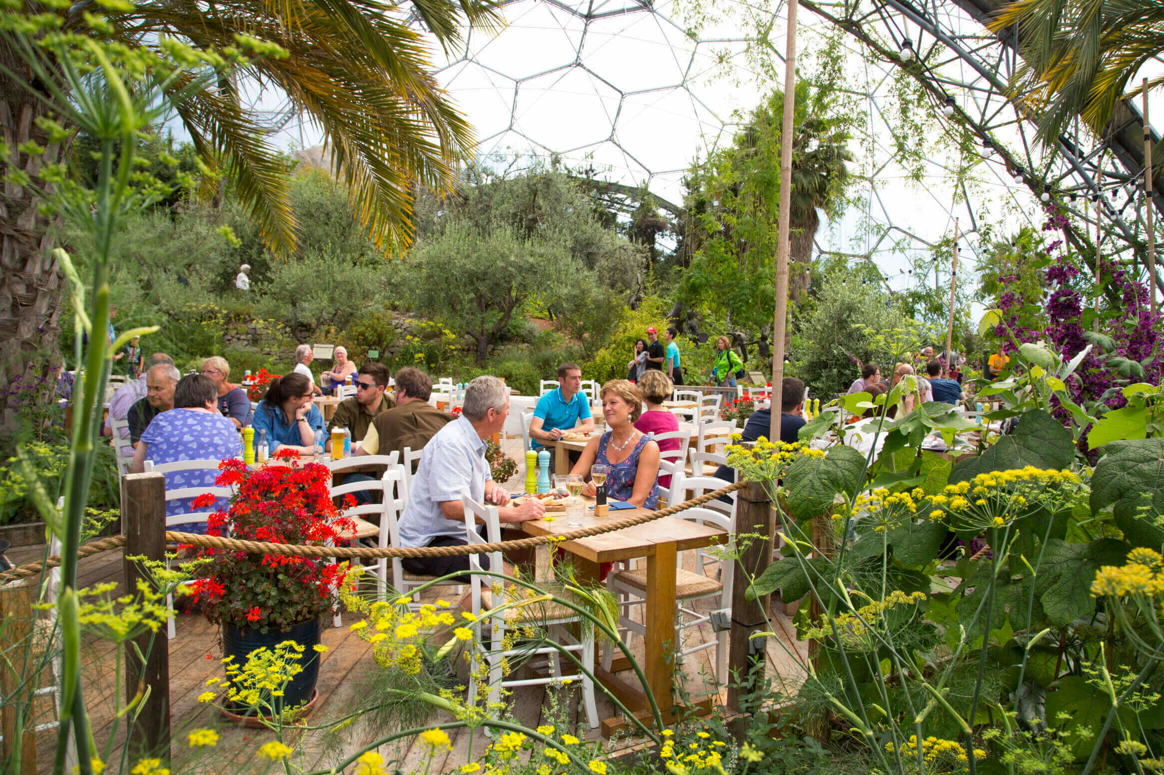 The Eden Project: The Biomes | Culture and Exhibition | Projects | GRIMSHAW