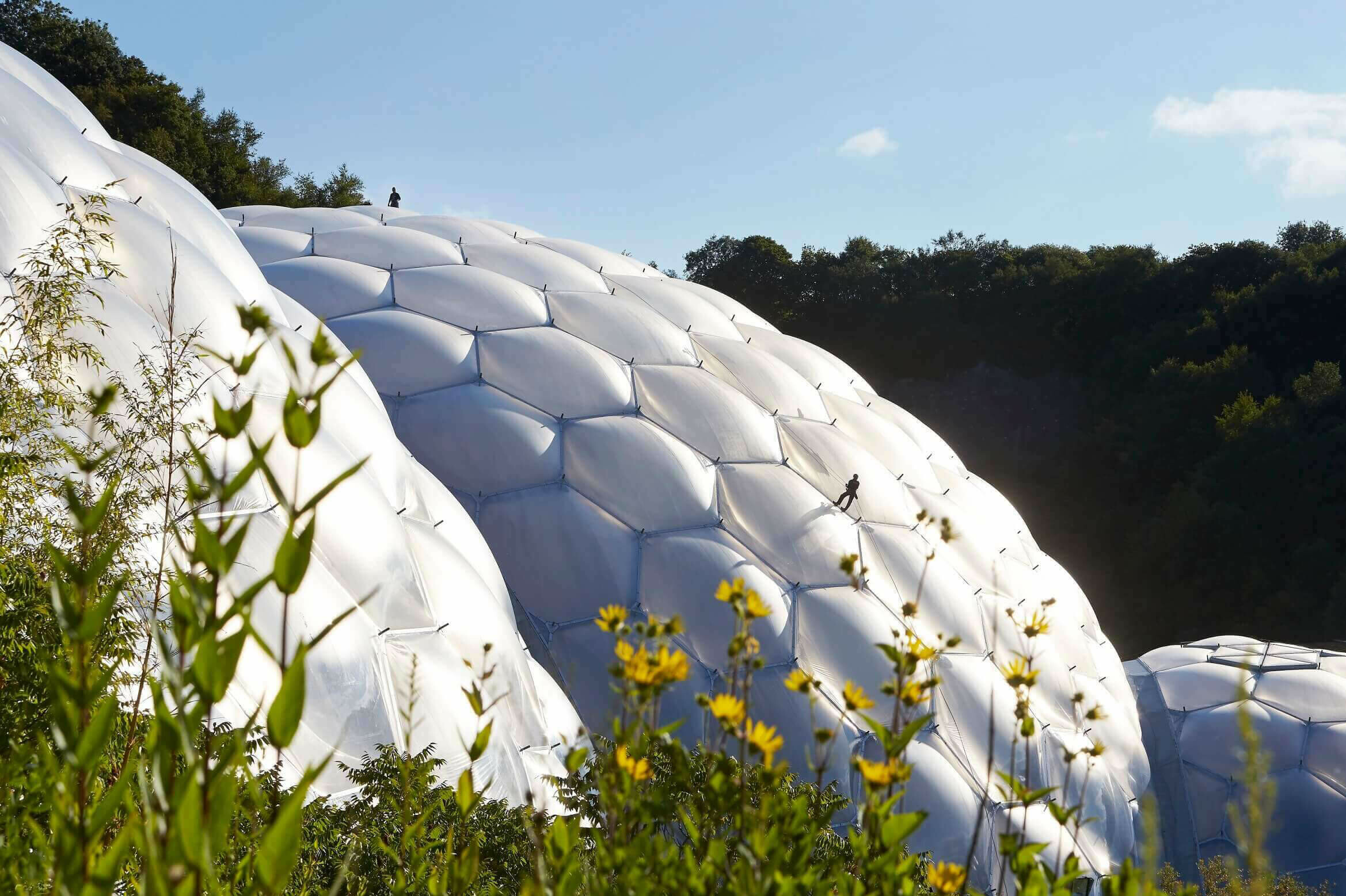 The Eden Project: The Biomes | Culture and Exhibition | Projects | GRIMSHAW