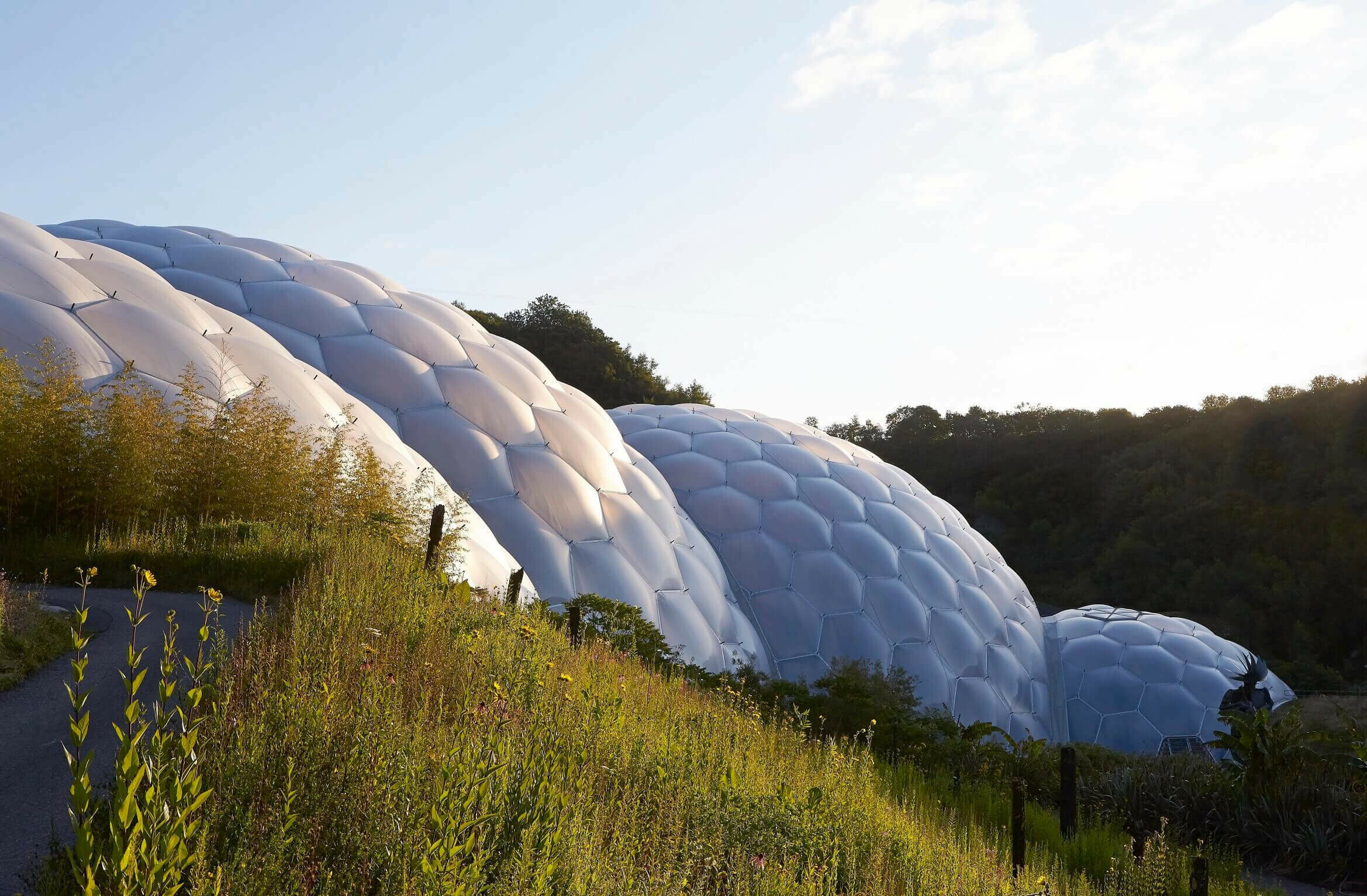 The Eden Project: The Biomes | Culture and Exhibition | Projects | GRIMSHAW